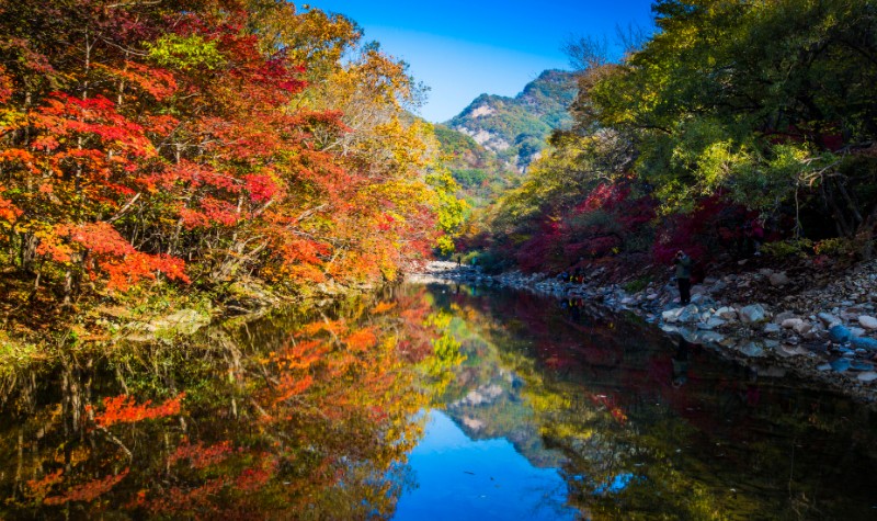 丹东蒲石河森林公园 丹东蒲石河森林公园门票预订 侠客游特价酒店