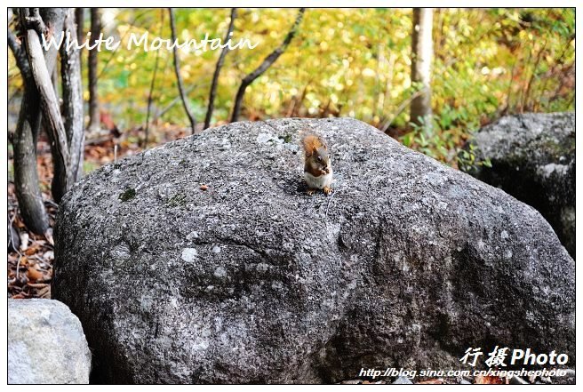 白山秋色之Flume Gorge(下） - 新罕布什尔州游记攻略【同程旅游攻略】