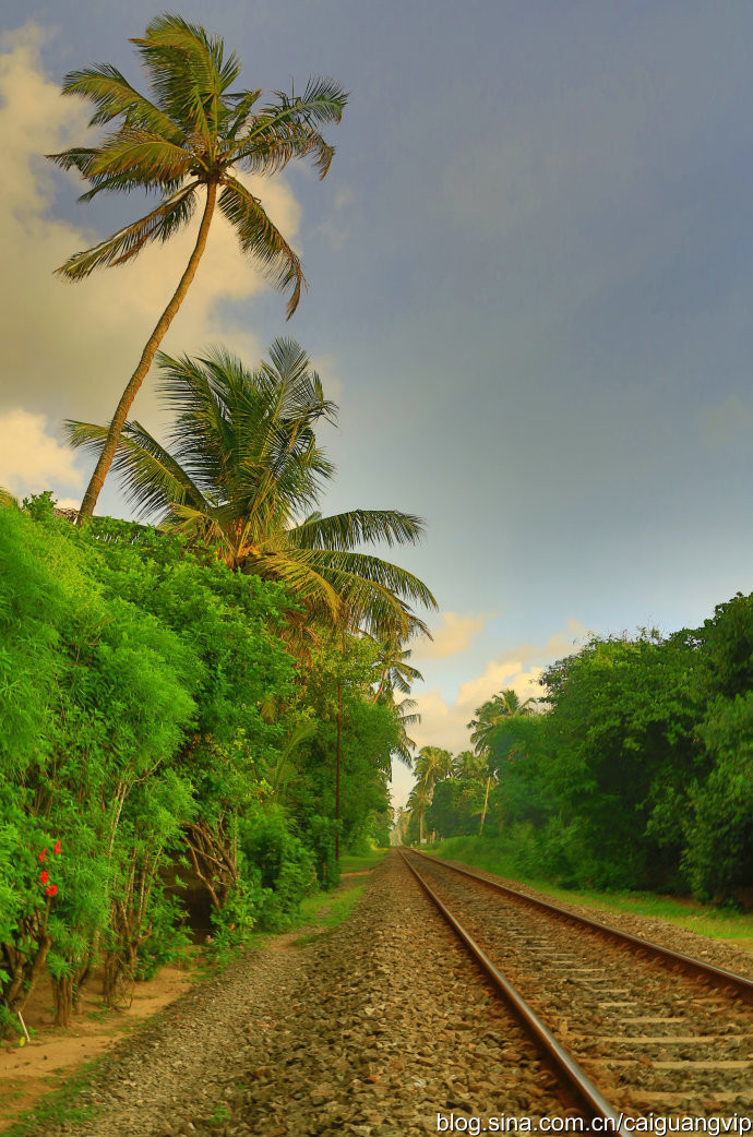 乘坐“千与千寻”童话般的海上小火车！ - 斯里兰卡游记攻略【同程旅游攻略】