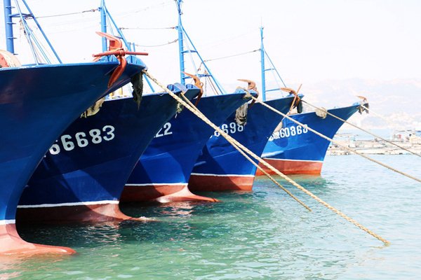 走进浯屿岛，品美味野生海鲜 - 游记攻略【同程旅游攻略】